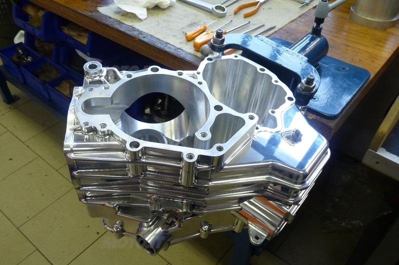 Vertemati Infect - desmodromico.com