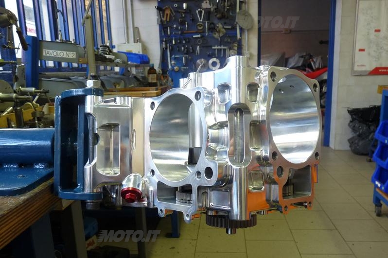 Vertemati Infect - desmodromico.com